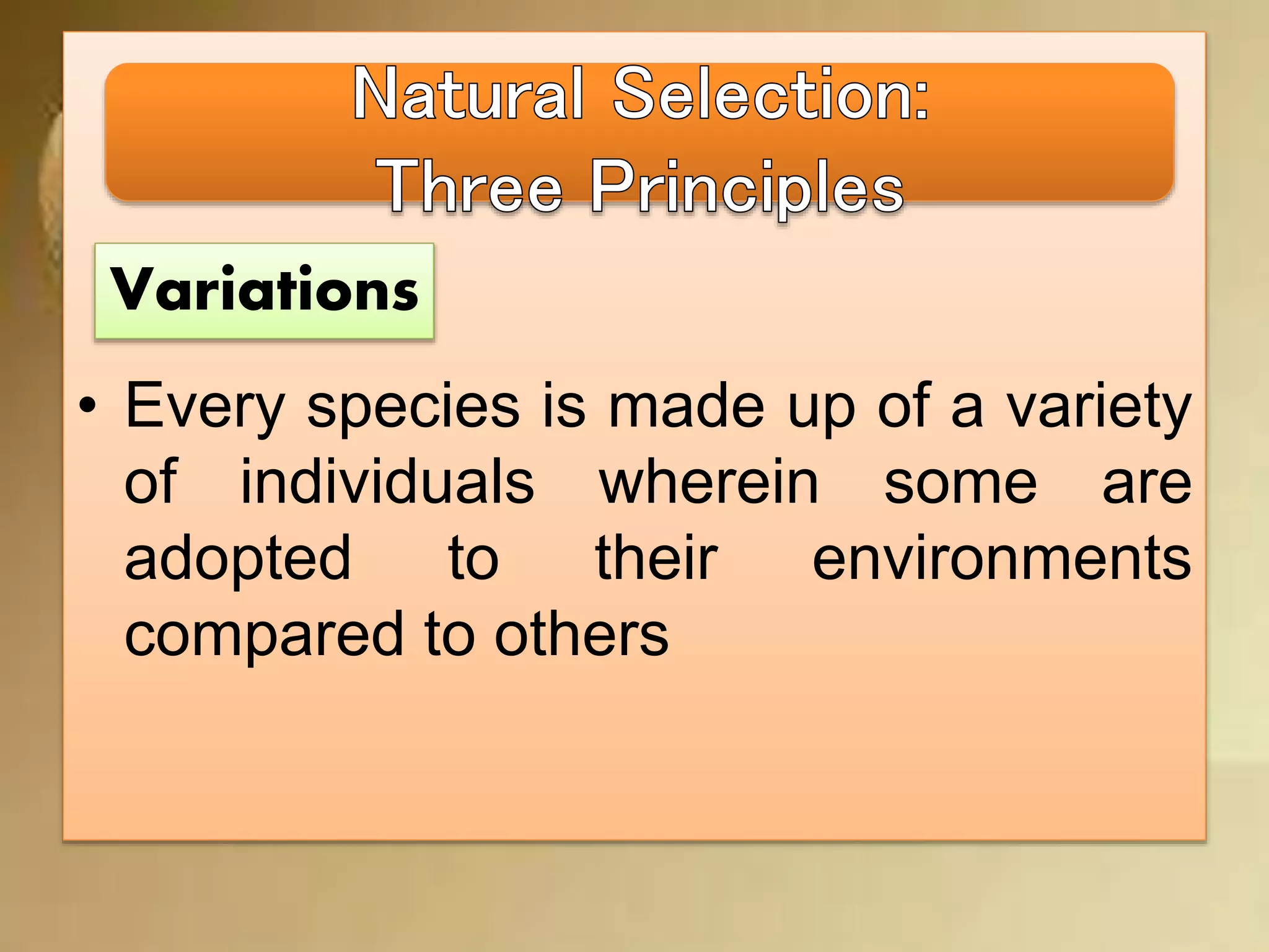 biological and cultural evolution | PPTX
