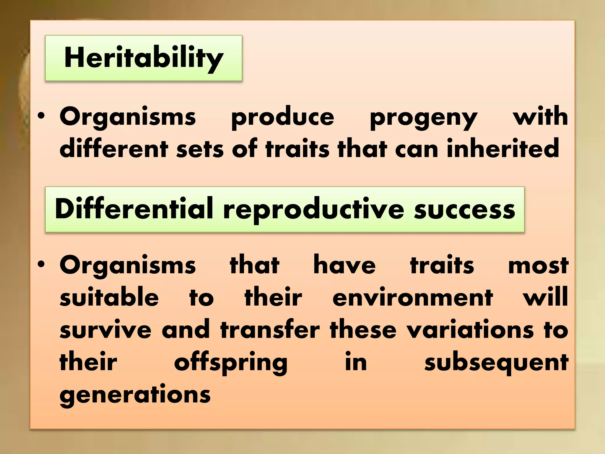 biological and cultural evolution | PPTX