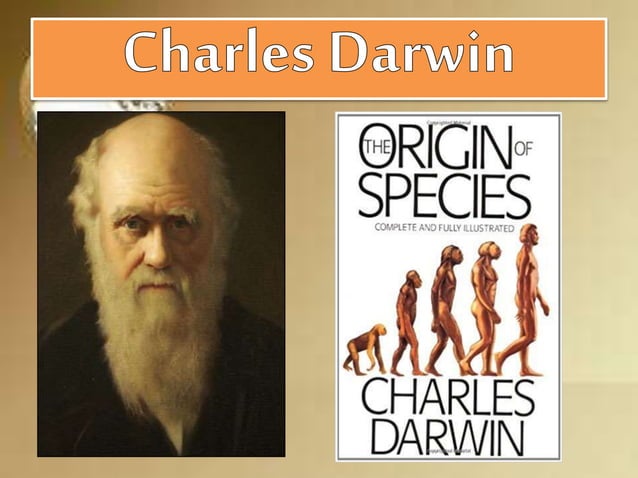 biological and cultural evolution | PPTX | Geology | Science