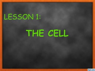 Lesson 1 biology 1 | PPTX | Biological Sciences | Science