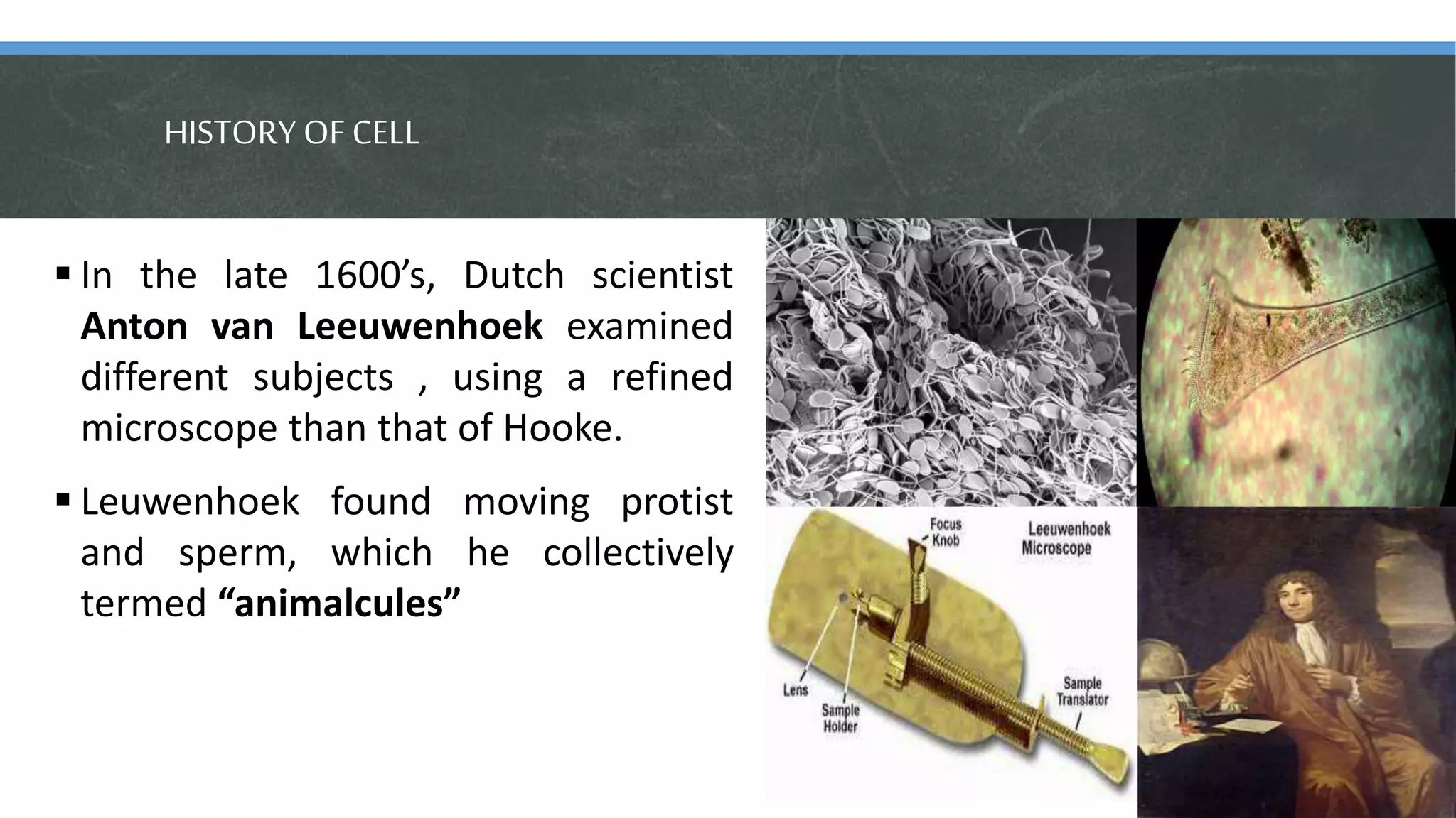 General Biology 1 - Lesson 1: Cell (structure,function, and theory) | PPTX