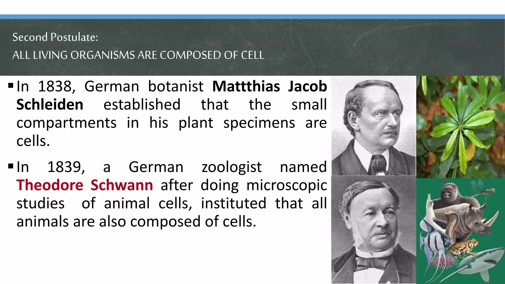 General Biology 1 - Lesson 1: Cell (structure,function, and theory) | PPTX