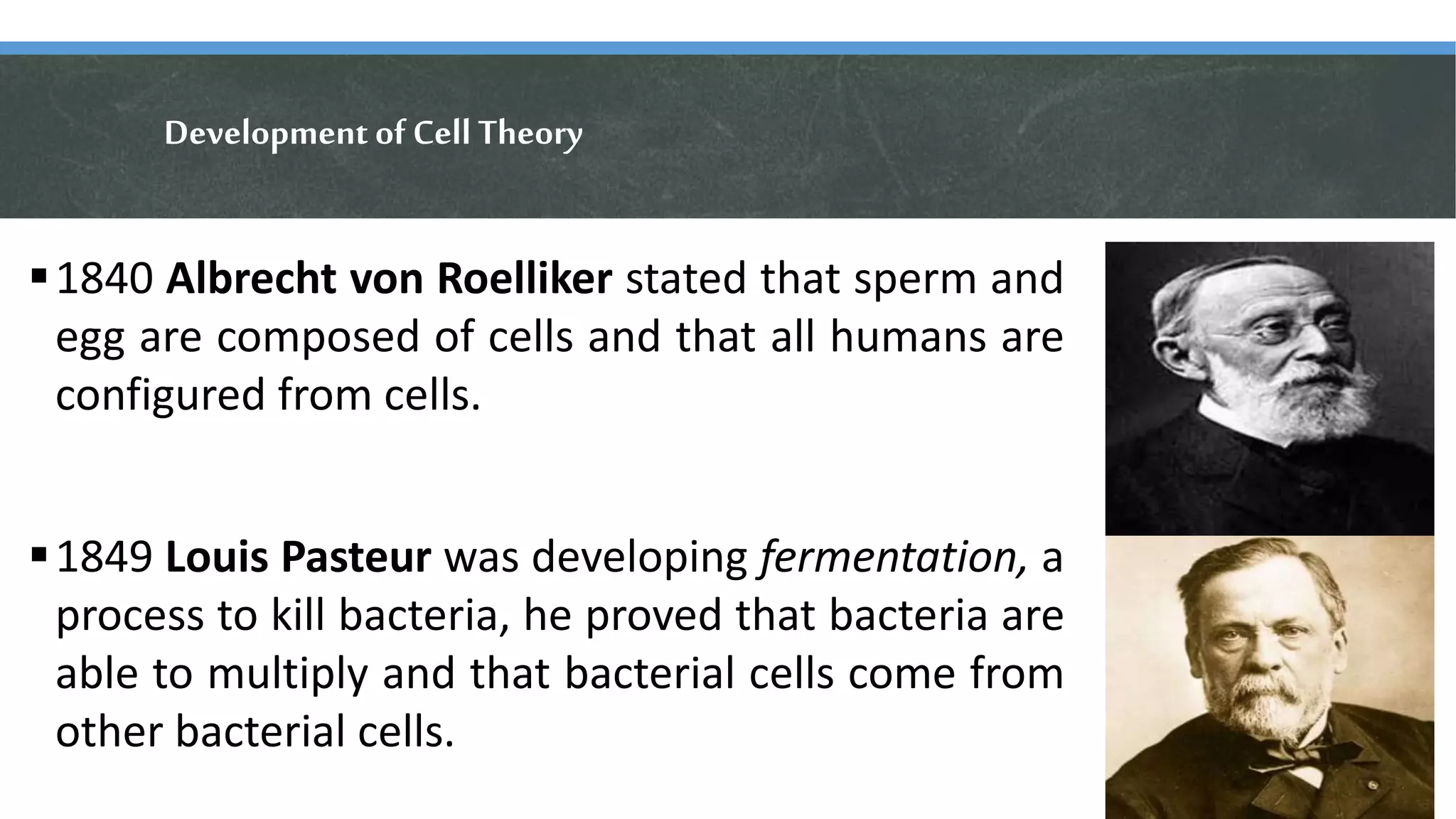General Biology 1 - Lesson 1: Cell (structure,function, and theory) | PPTX
