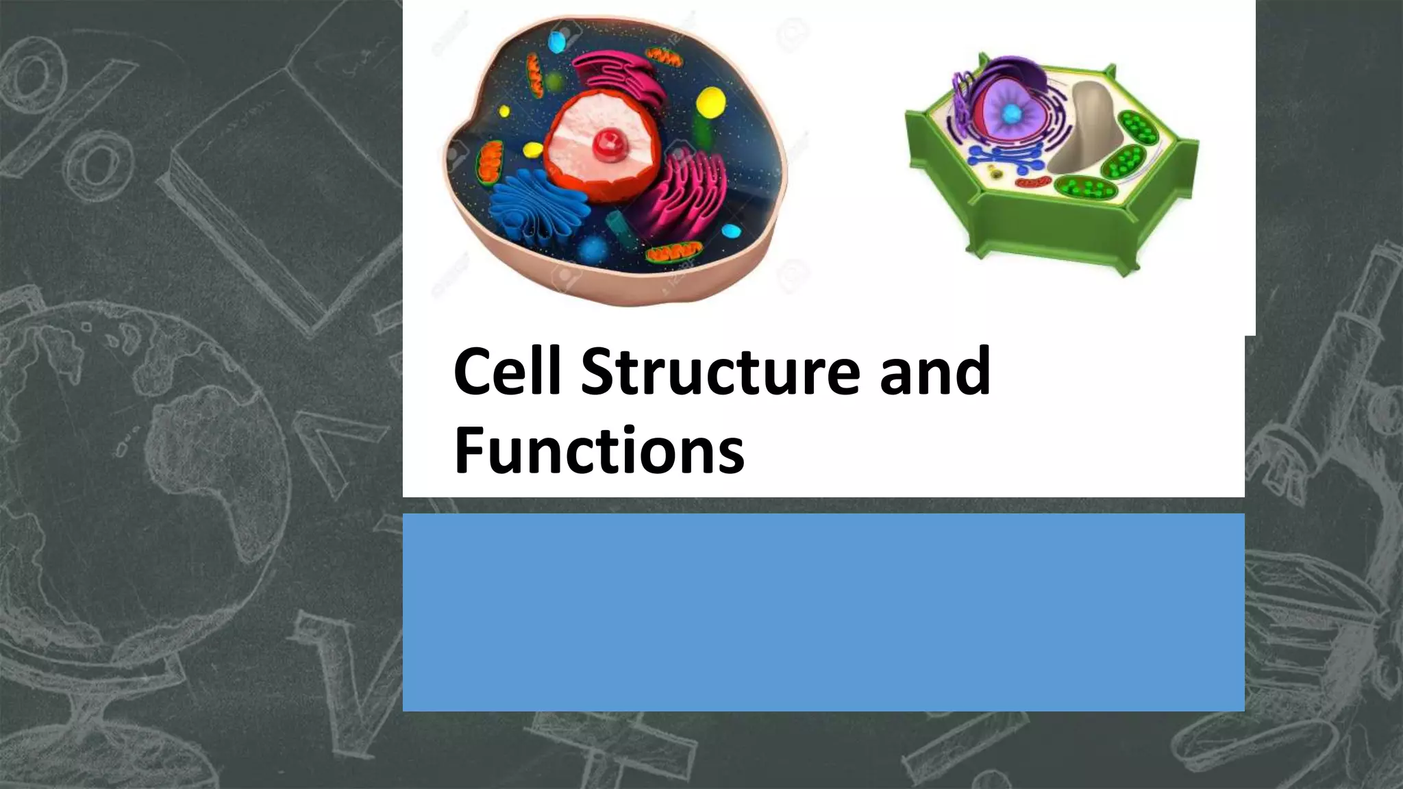 General Biology 1 - Lesson 1: Cell (structure,function, and theory) | PPTX