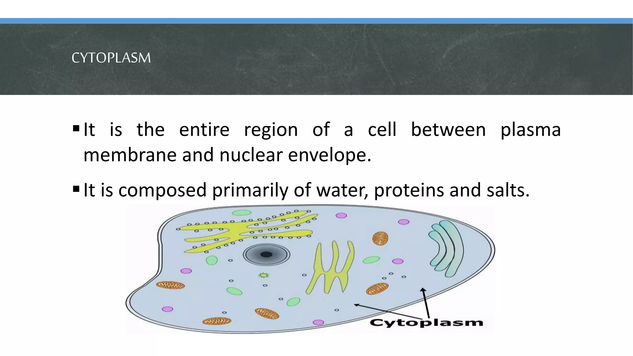 General Biology 1 - Lesson 1: Cell (structure,function, and theory) | PPTX