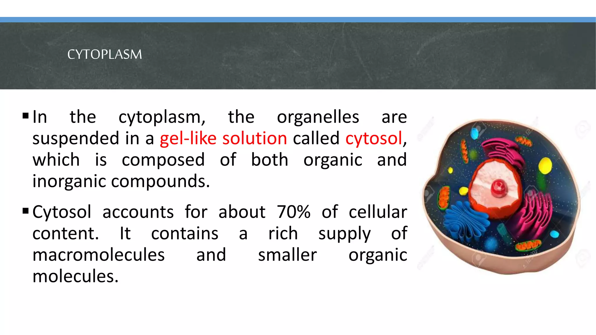 General Biology 1 - Lesson 1: Cell (structure,function, and theory) | PPTX