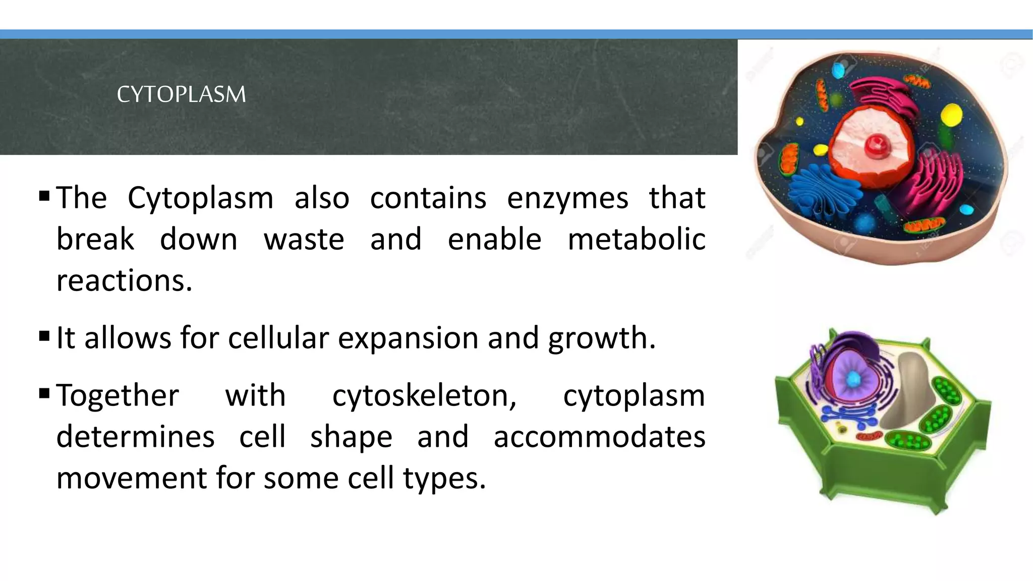 General Biology 1 - Lesson 1: Cell (structure,function, and theory) | PPTX
