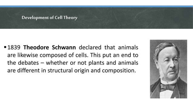 General Biology 1 - Lesson 1: Cell (structure,function, and theory ...