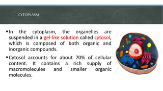 General Biology 1 - Lesson 1: Cell (structure,function, and theory) | PPTX