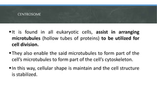 General Biology 1 - Lesson 1: Cell (structure,function, and theory) | PPTX
