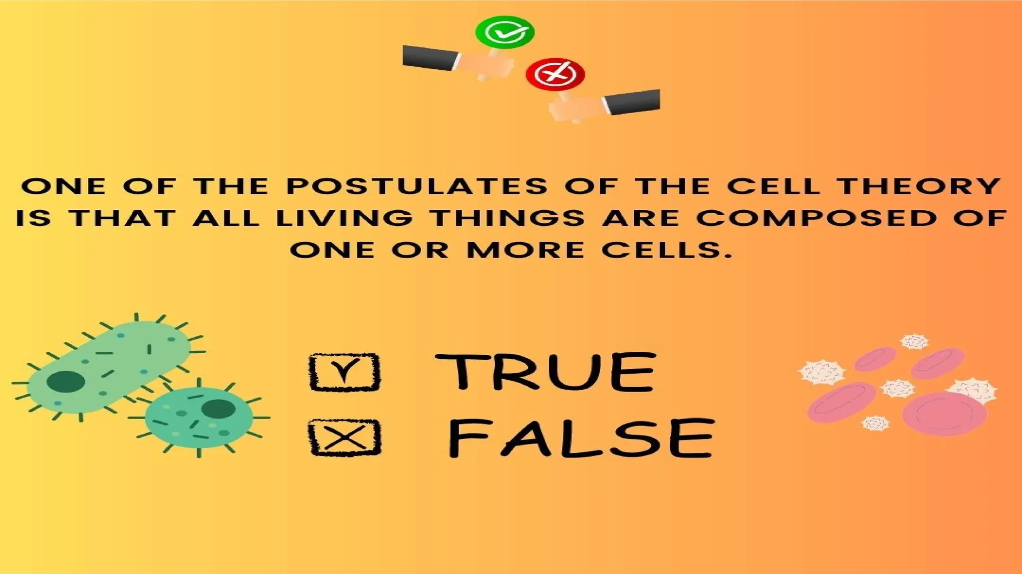 Lesson 1 Cell (Structures, Functions, and Theory).pptx