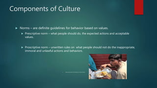 Lesson 1 Culture | PPT