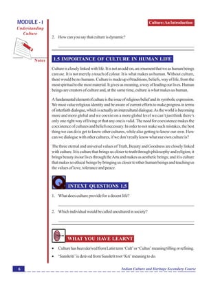 Lesson 1 culture an introduction | PDF