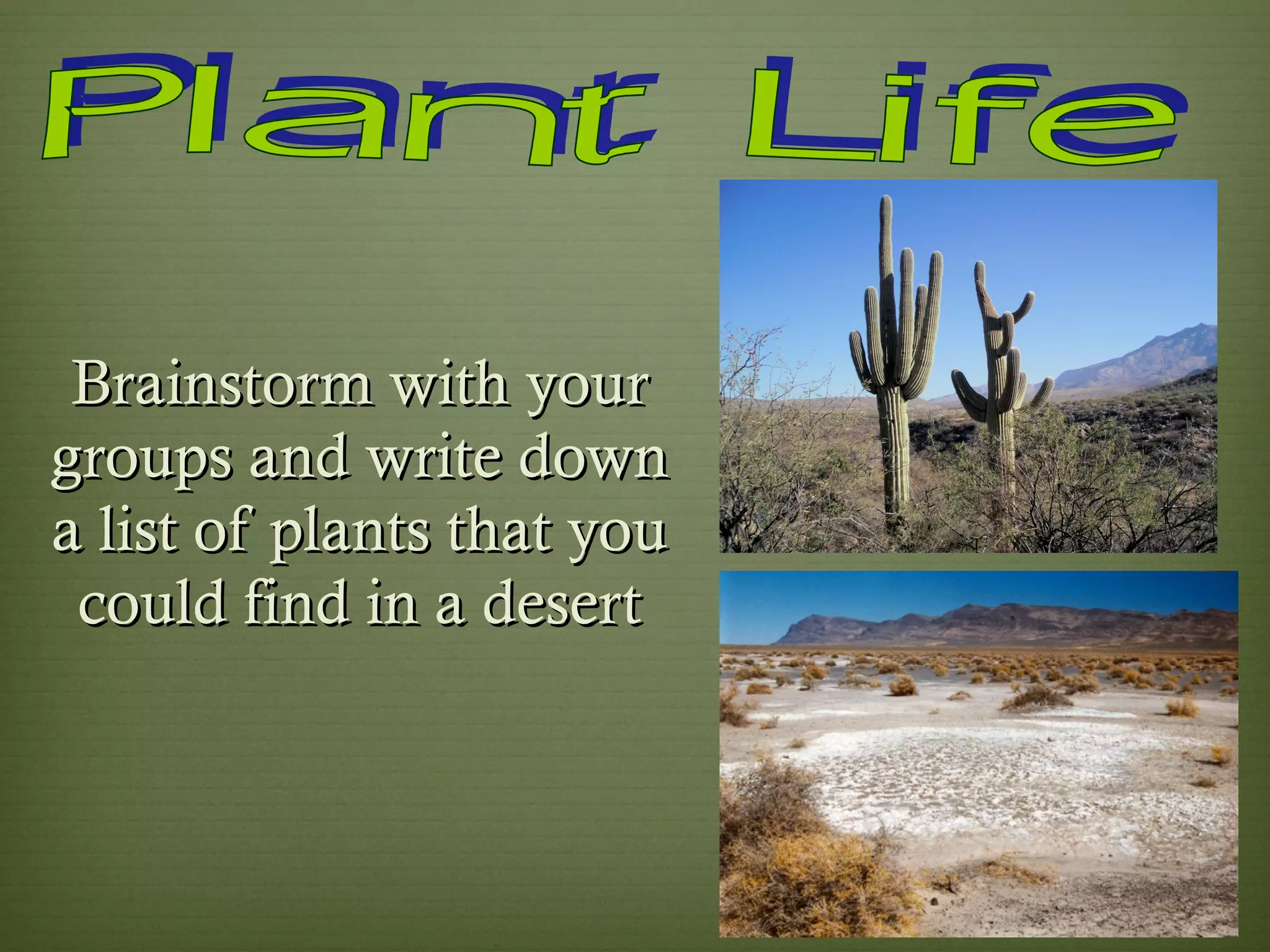 Lesson1 deserts power point | PPT | Geography | Science
