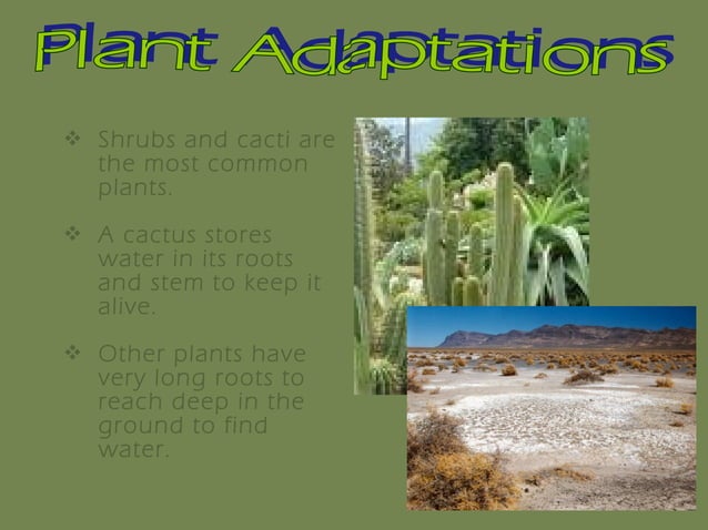 Lesson1 deserts power point | PPT | Geography | Science