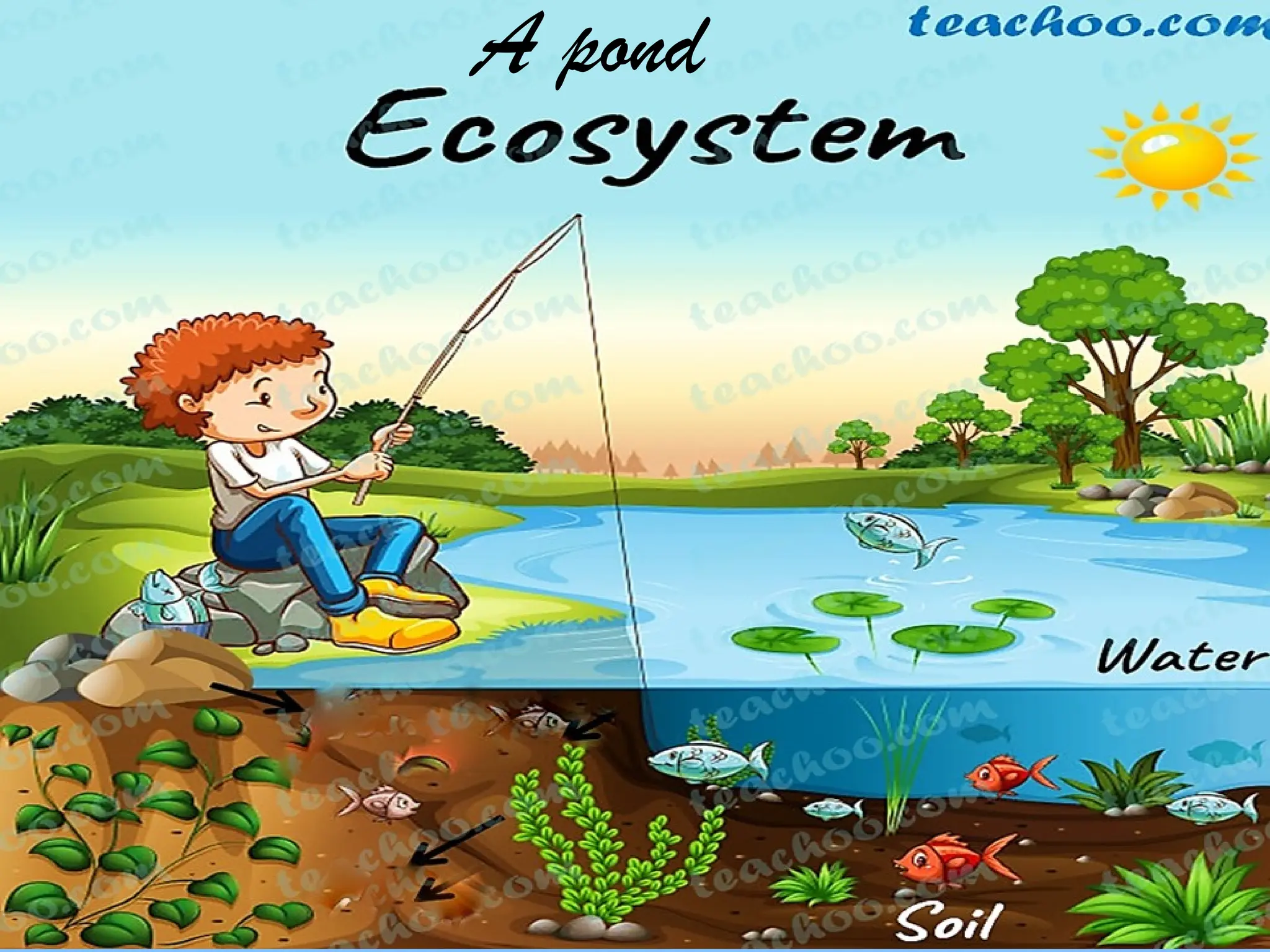 Lesson 1 ecosystem biotic and abiotic factor | PPT