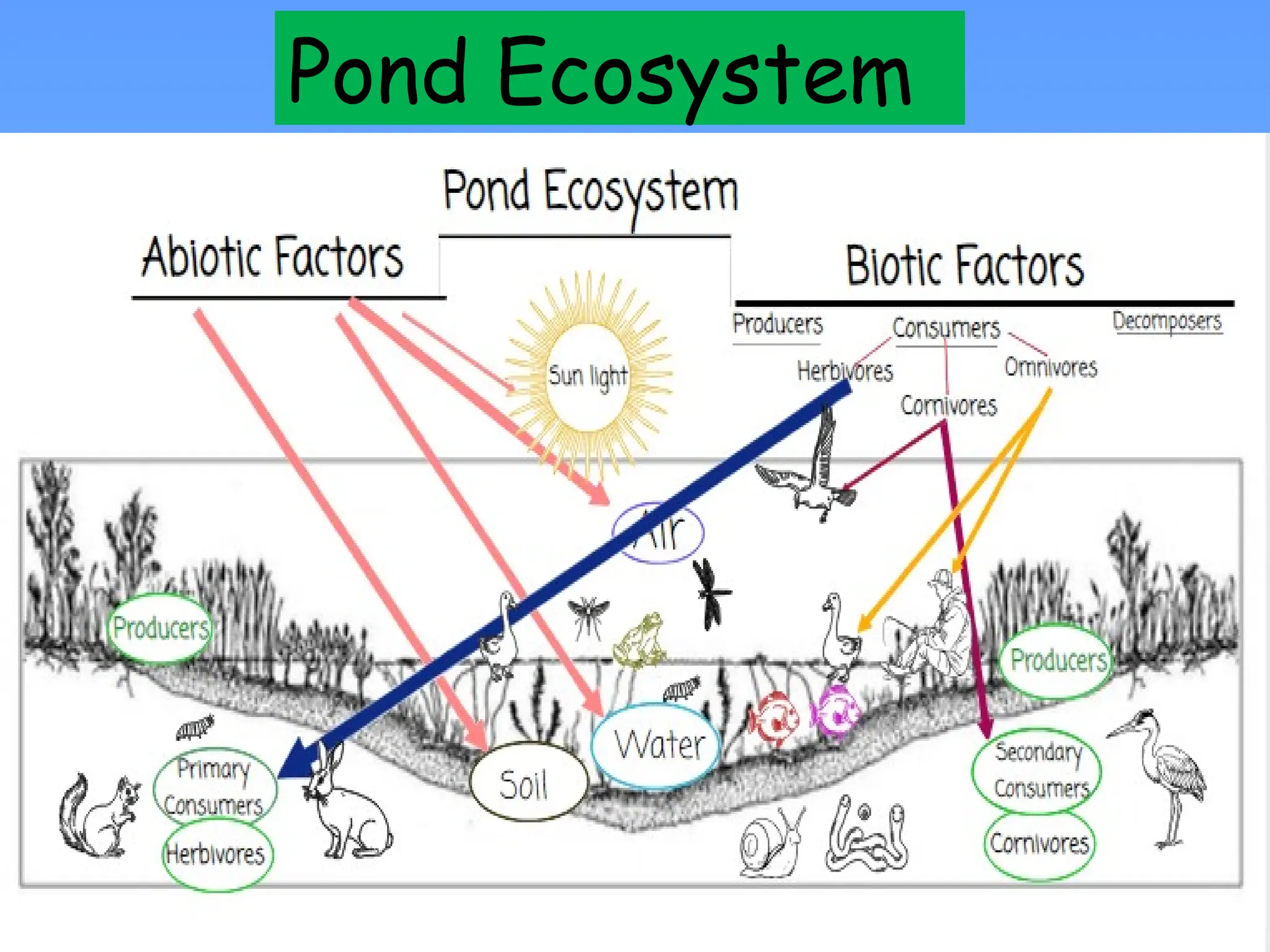 Lesson 1 ecosystem biotic and abiotic factor | PPT