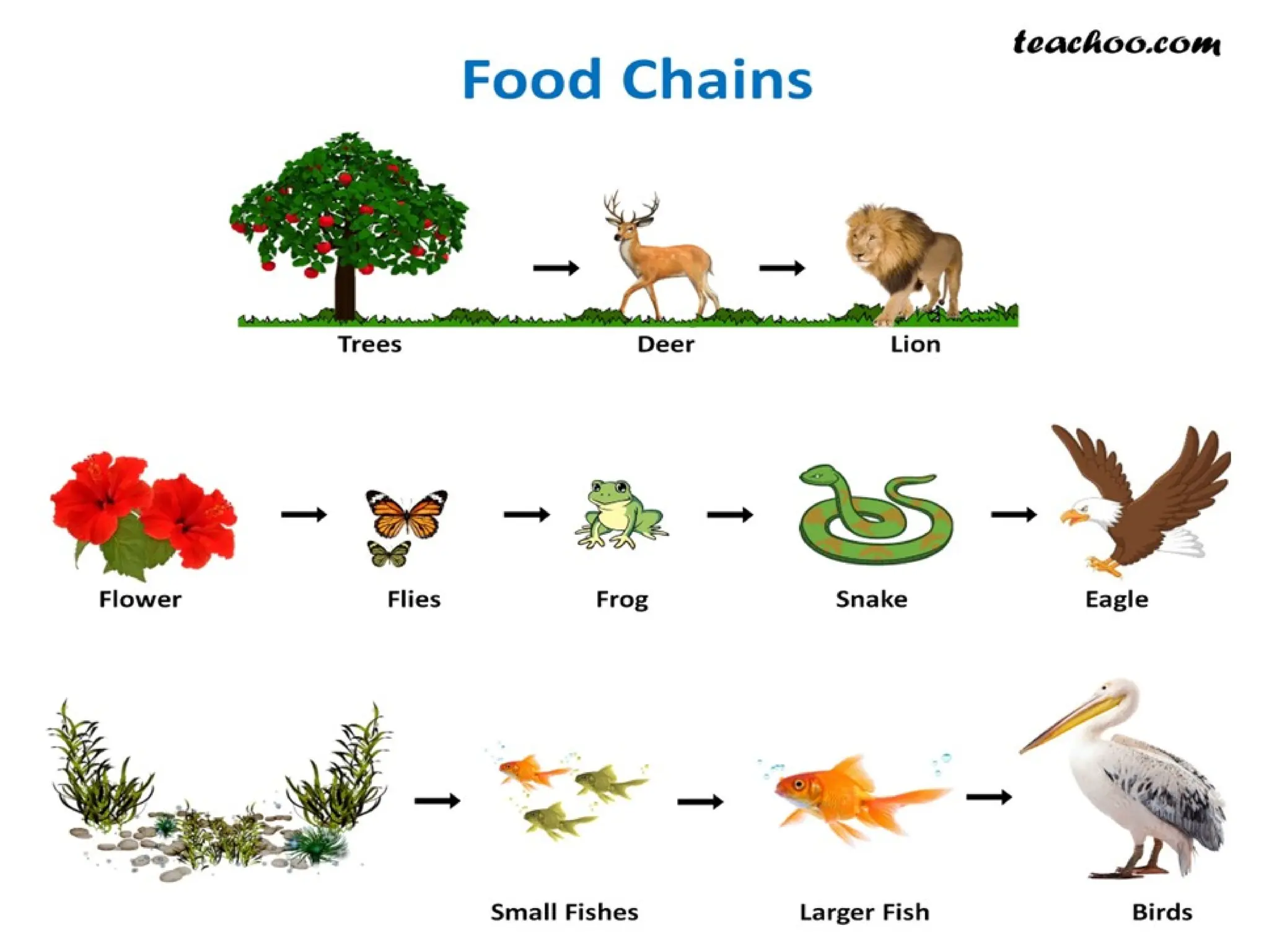 Lesson 1 ecosystem biotic and abiotic factor | PPT