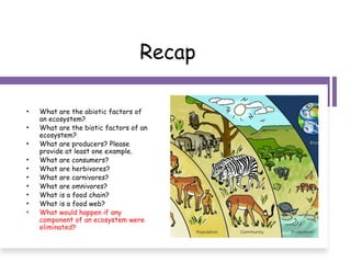 Lesson 1 ecosystem biotic and abiotic factor | PPT