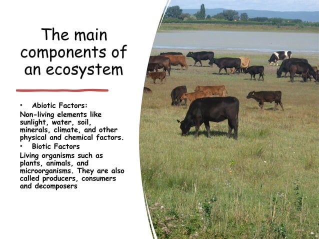 Lesson 1 ecosystem biotic and abiotic factor | PPT