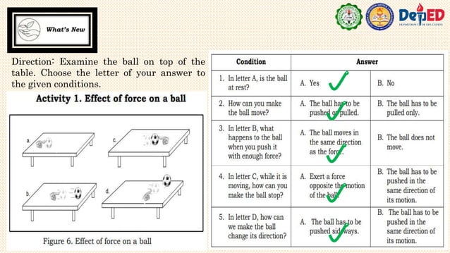 Lesson 1 Forces.pptx