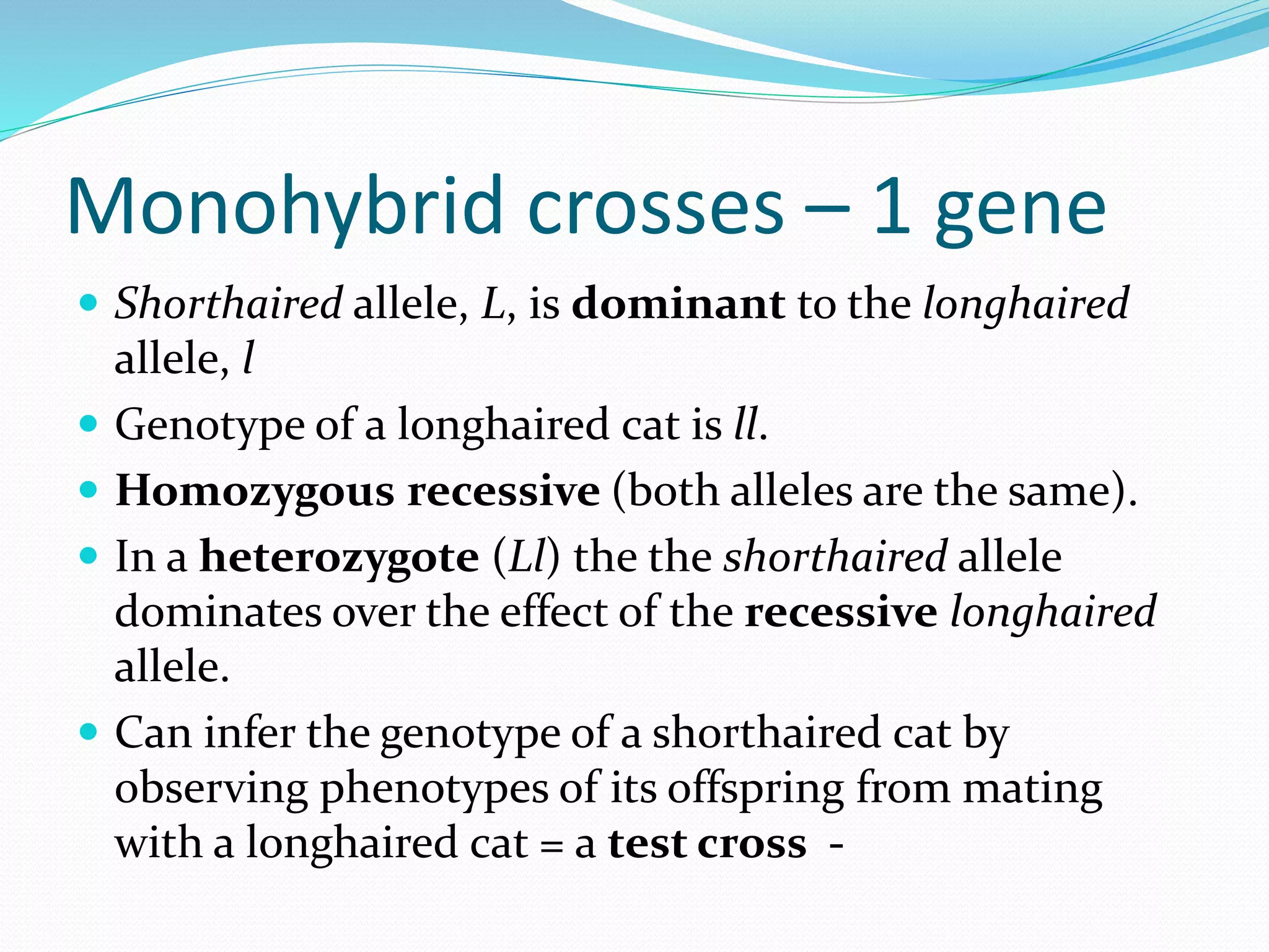 Lesson 1 genetics of cat coat colour | PPTX