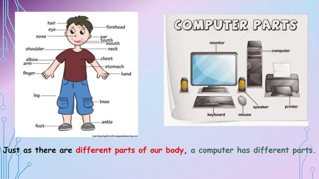 Computer Parts Lesson 1 | PPTX | Computer Peripherals | Computing