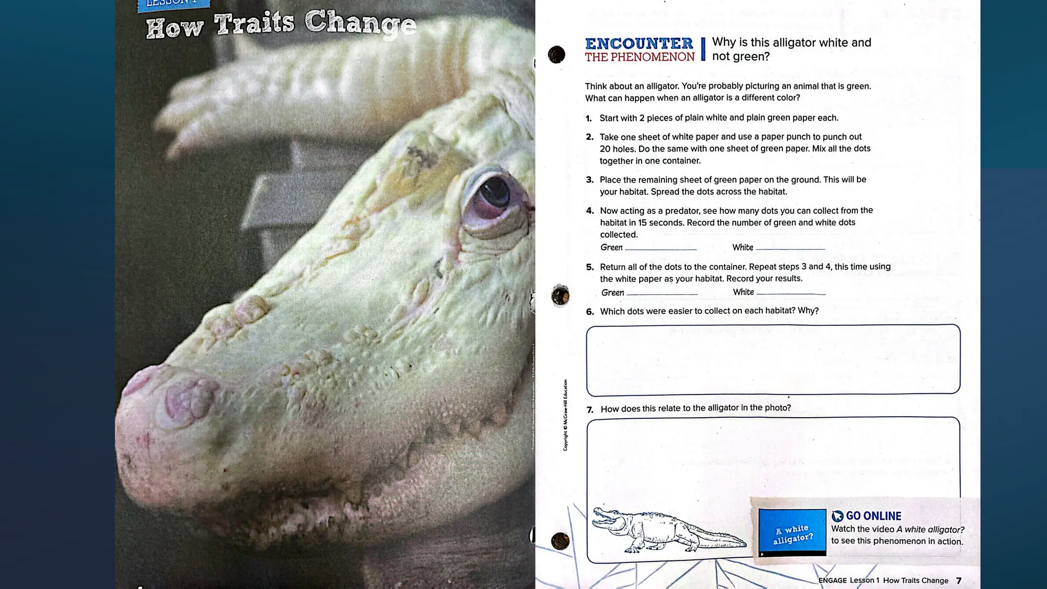 Lesson 1 grade 8 American genetics .PPT.pptx