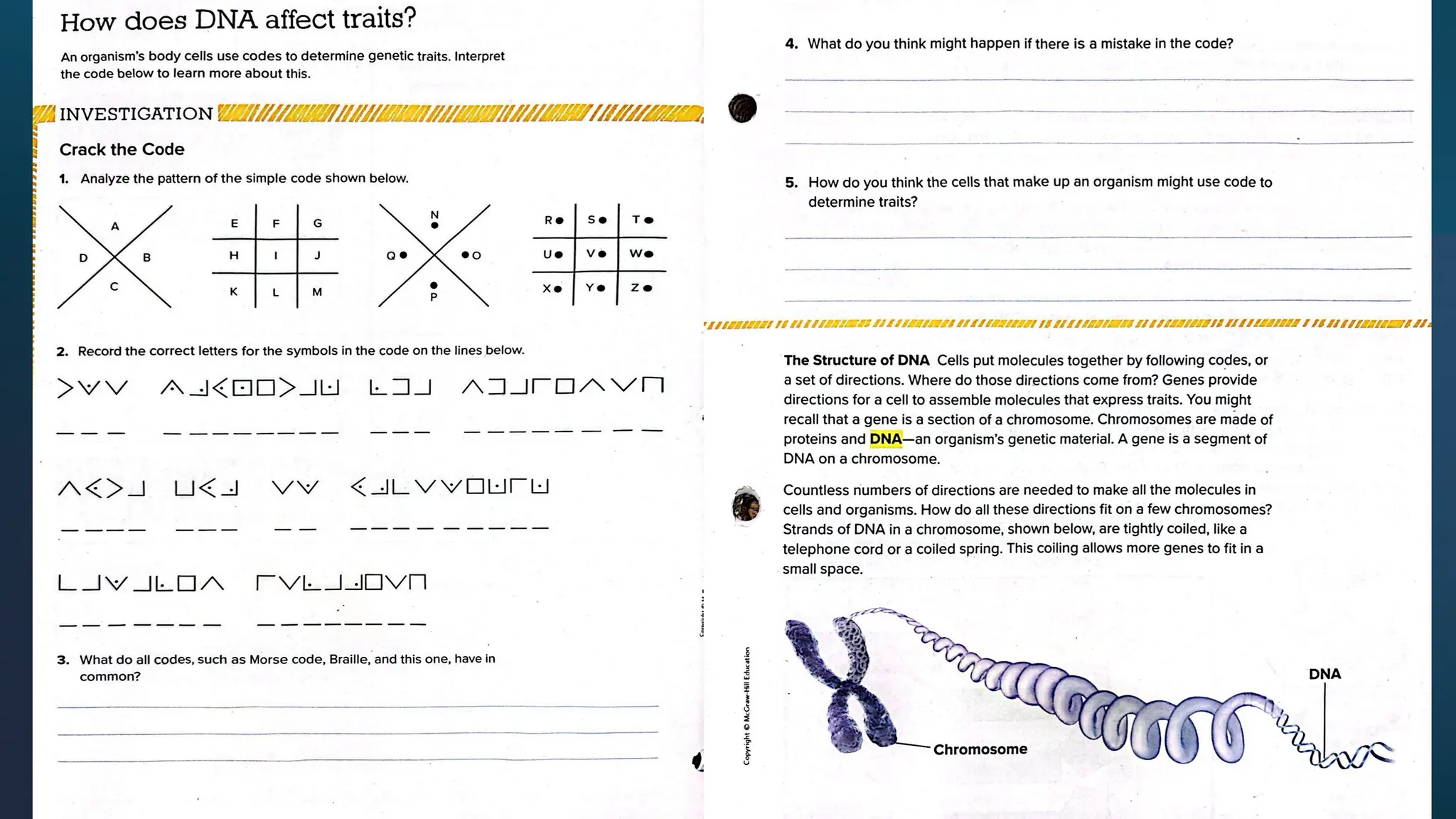 Lesson 1 grade 8 American genetics .PPT.pptx