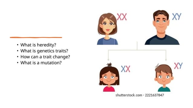 Lesson 1 grade 8 American genetics .PPT.pptx