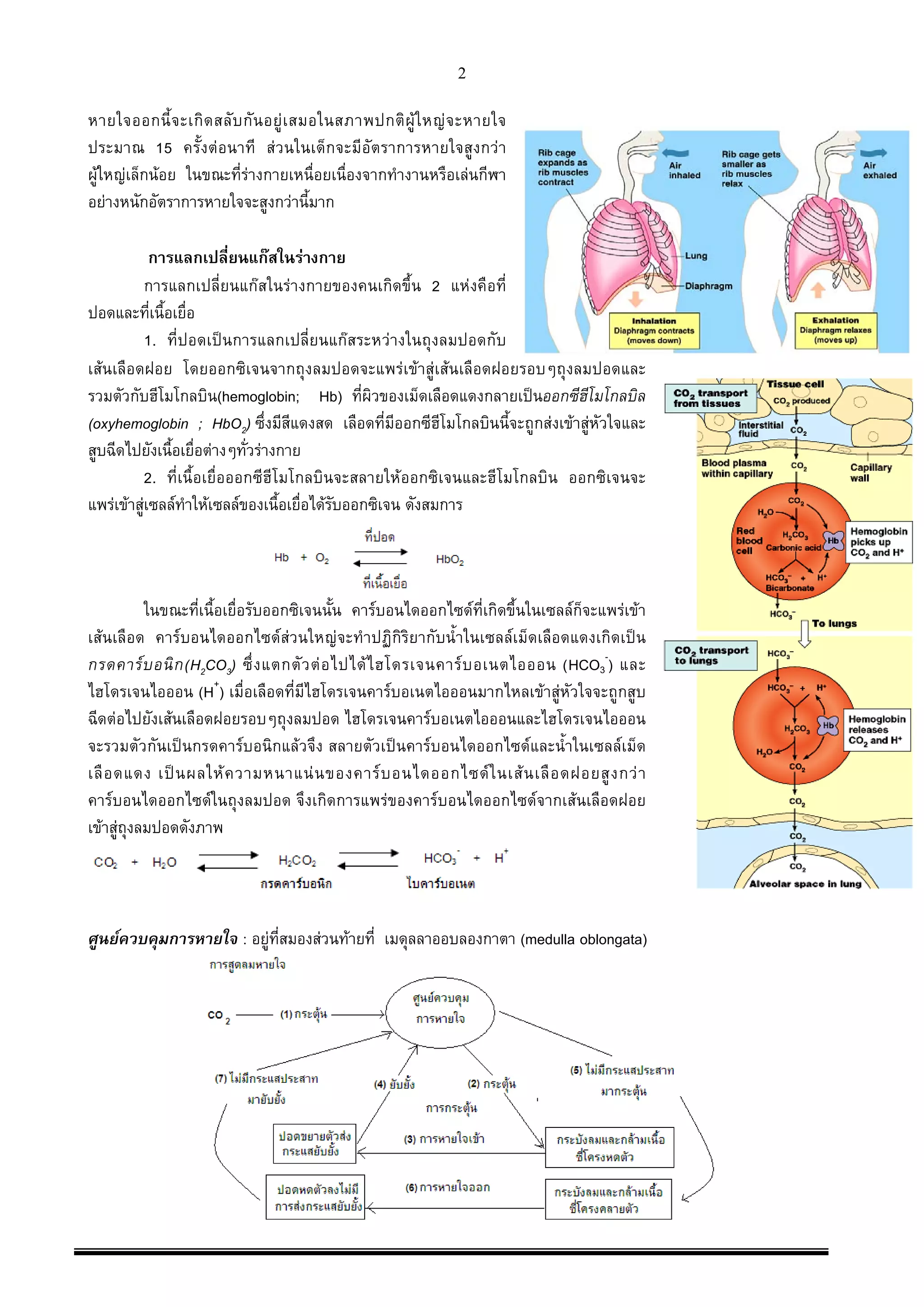 Lesson 1 homeostasis | PDF