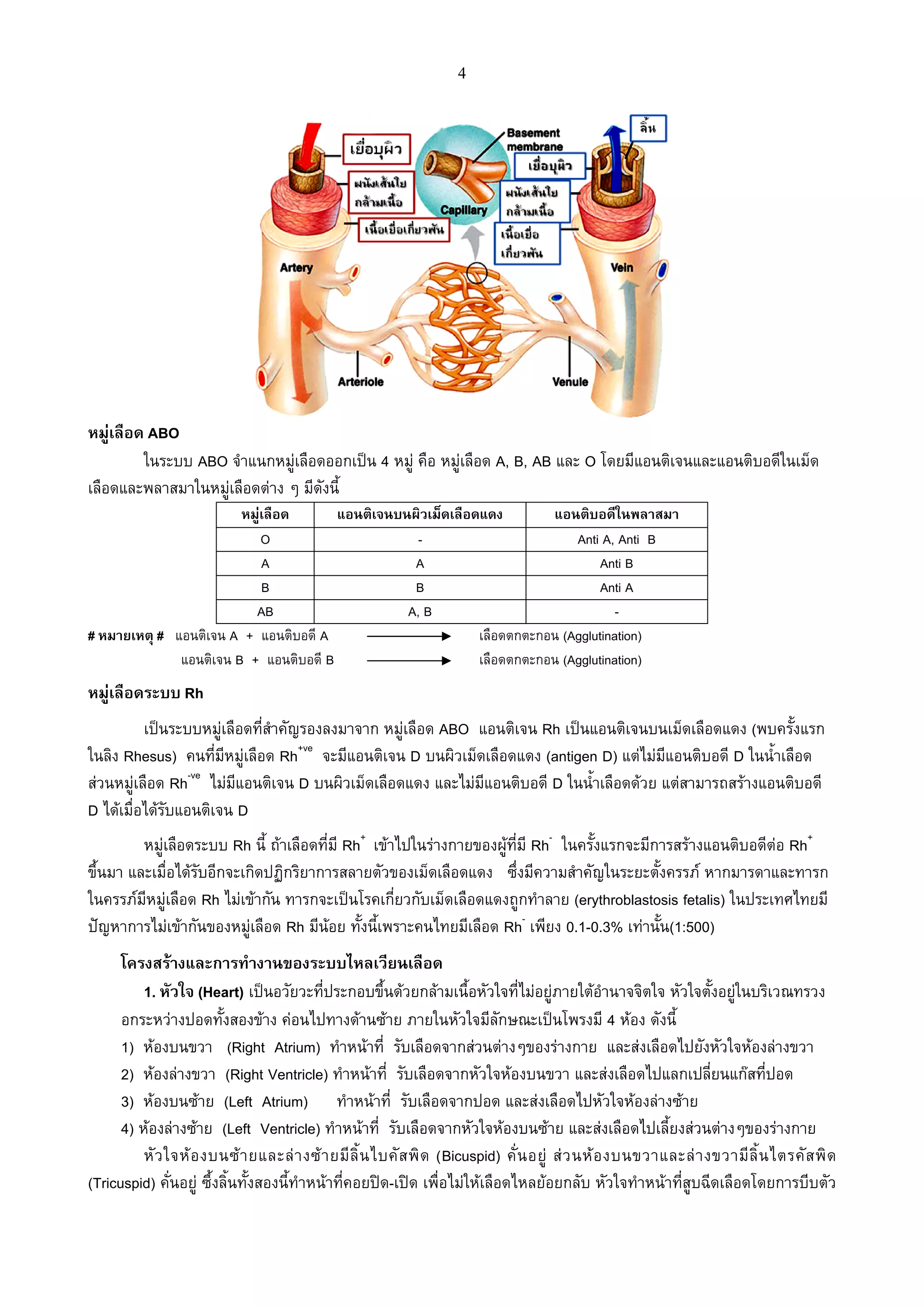 Lesson 1 homeostasis | PDF