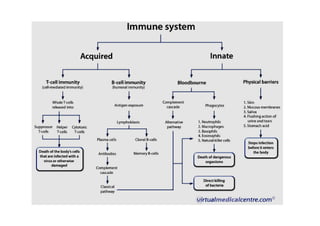 Lesson 1 homeostasis | PDF