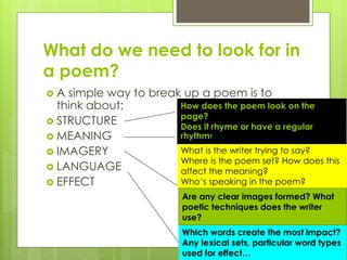 Lesson 1 hunchback with pupil pee paragraphs | PPTX