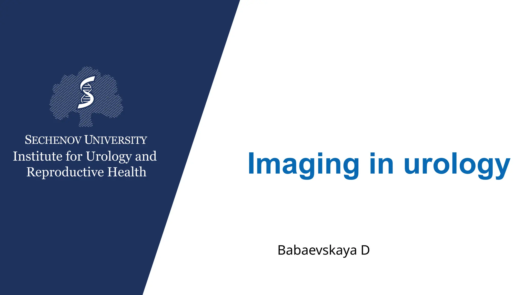 lesson 1 Imaging in urology DB.pptx urology | PPTX