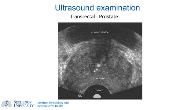 lesson 1 Imaging in urology DB.pptx urology | PPT