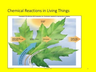 Lesson 1_Interrelated Scientific Principles.pdf
