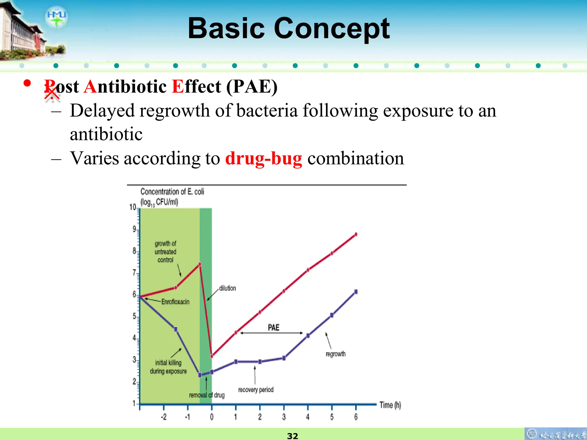 lesson 1 Introduction and General Principle of antimicrobial therapy (1 ...