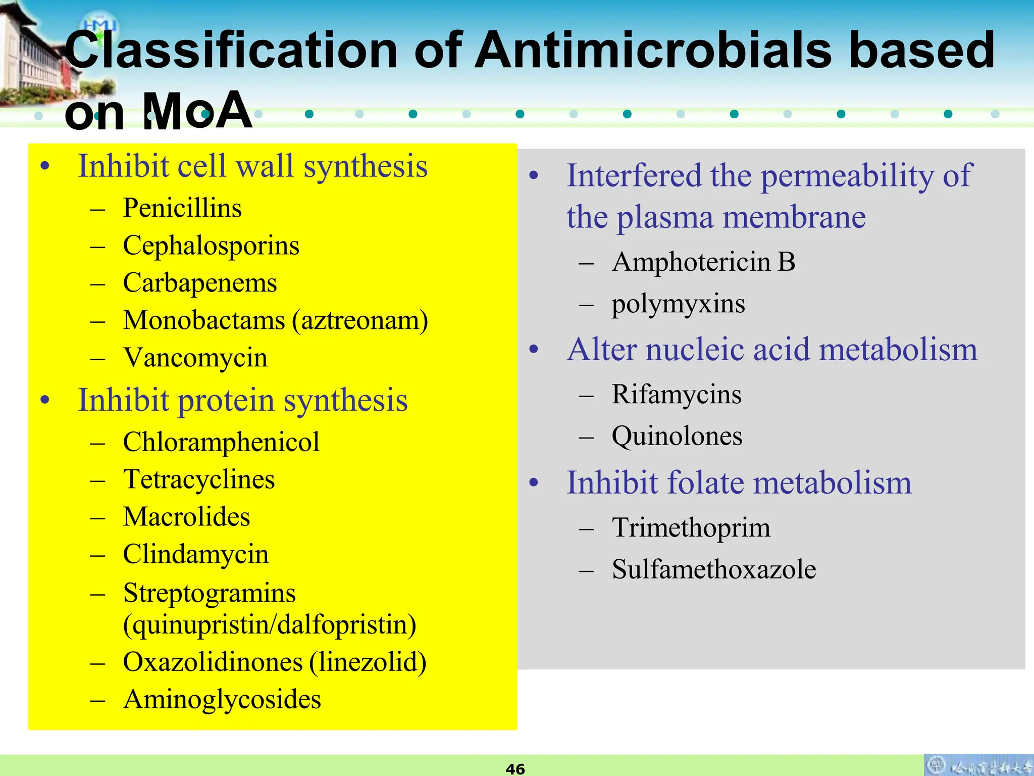 lesson 1 Introduction and General Principle of antimicrobial therapy (1 ...