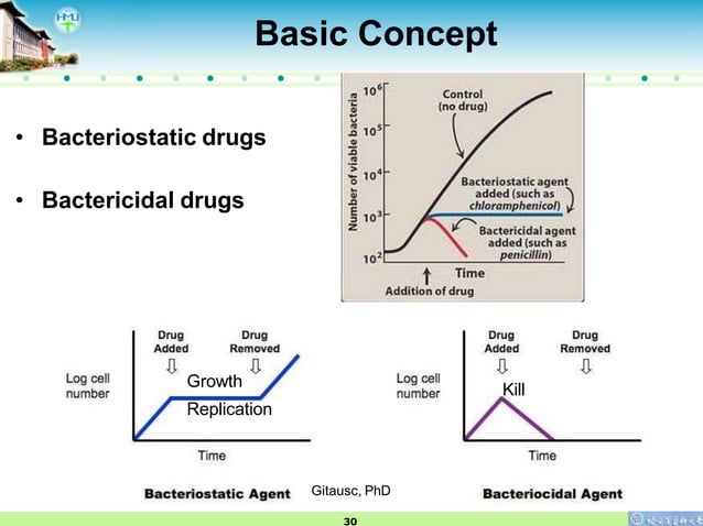 lesson 1 Introduction and General Principle of antimicrobial therapy (1 ...