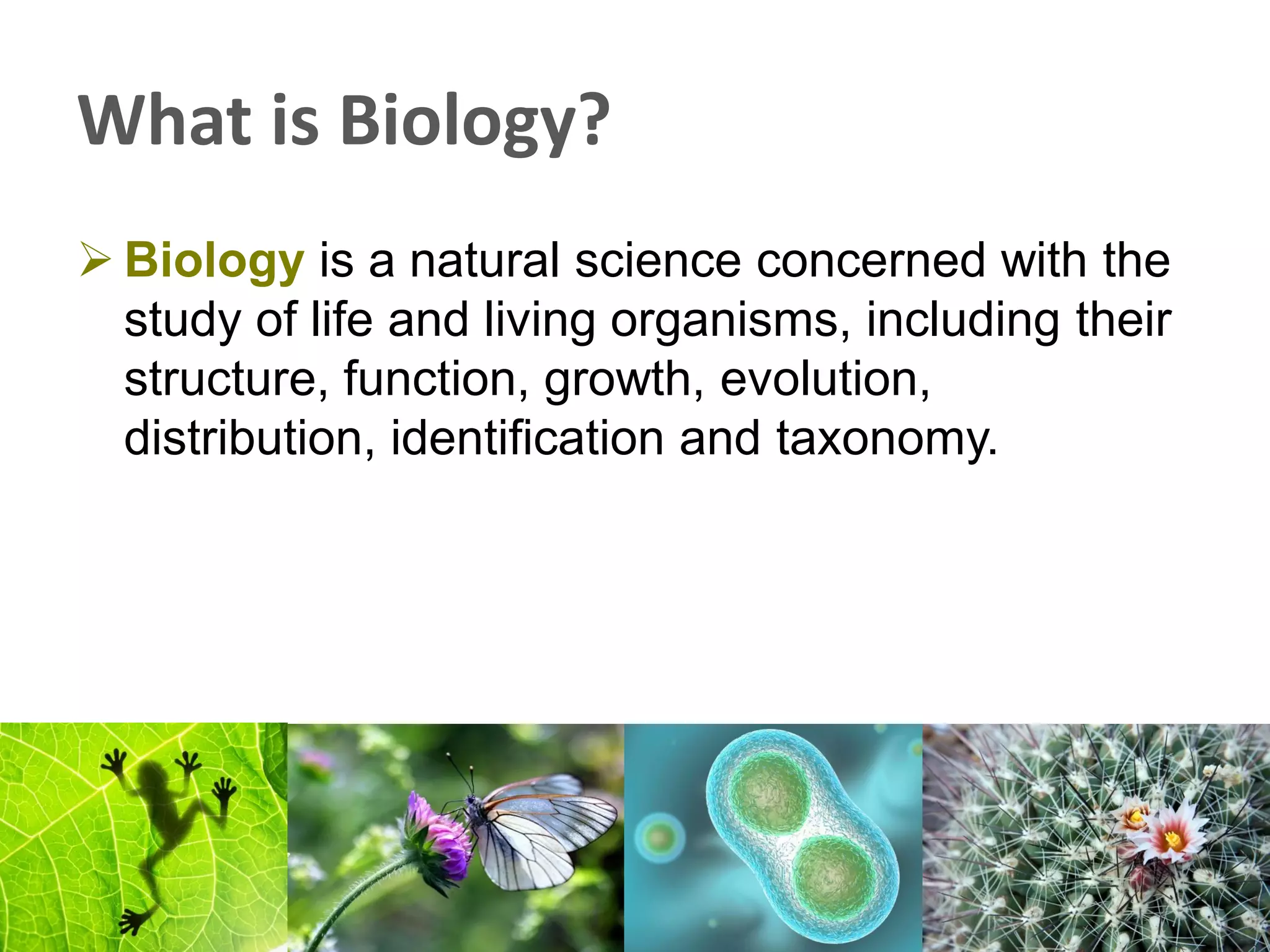 Lesson 1 Introduction to Biology | PDF Lesson 1 Introduction to Biology | PDF