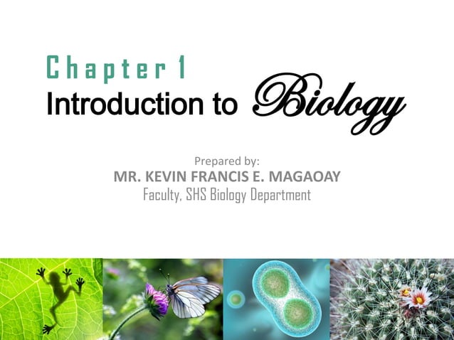 Lesson 1 Introduction to Biology | PDF