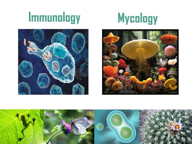 Lesson 1 Introduction to Biology | PDF