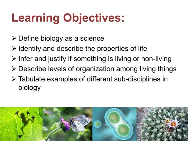 Lesson 1 Introduction to Biology | PDF