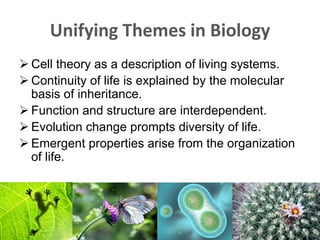 Lesson 1 Introduction to Biology | PDF
