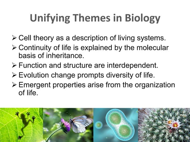 Lesson 1 Introduction to Biology | PDF