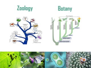 Lesson 1 Introduction to Biology | PDF