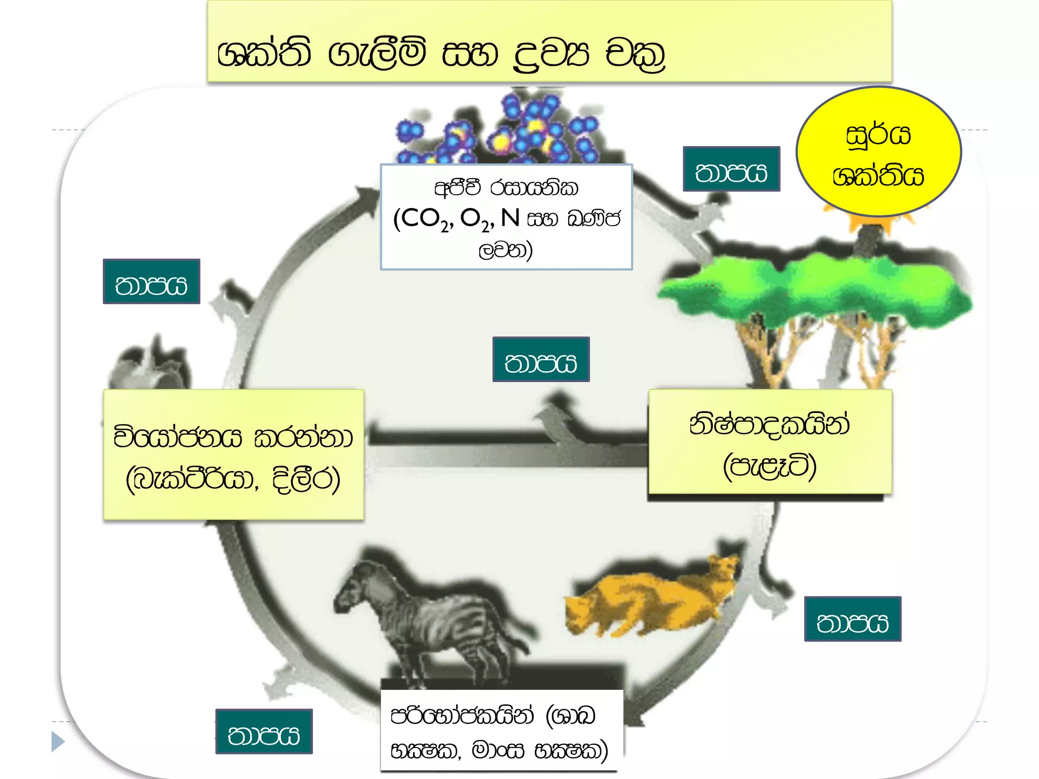 Lesson 1 introduction to environment | PPT
