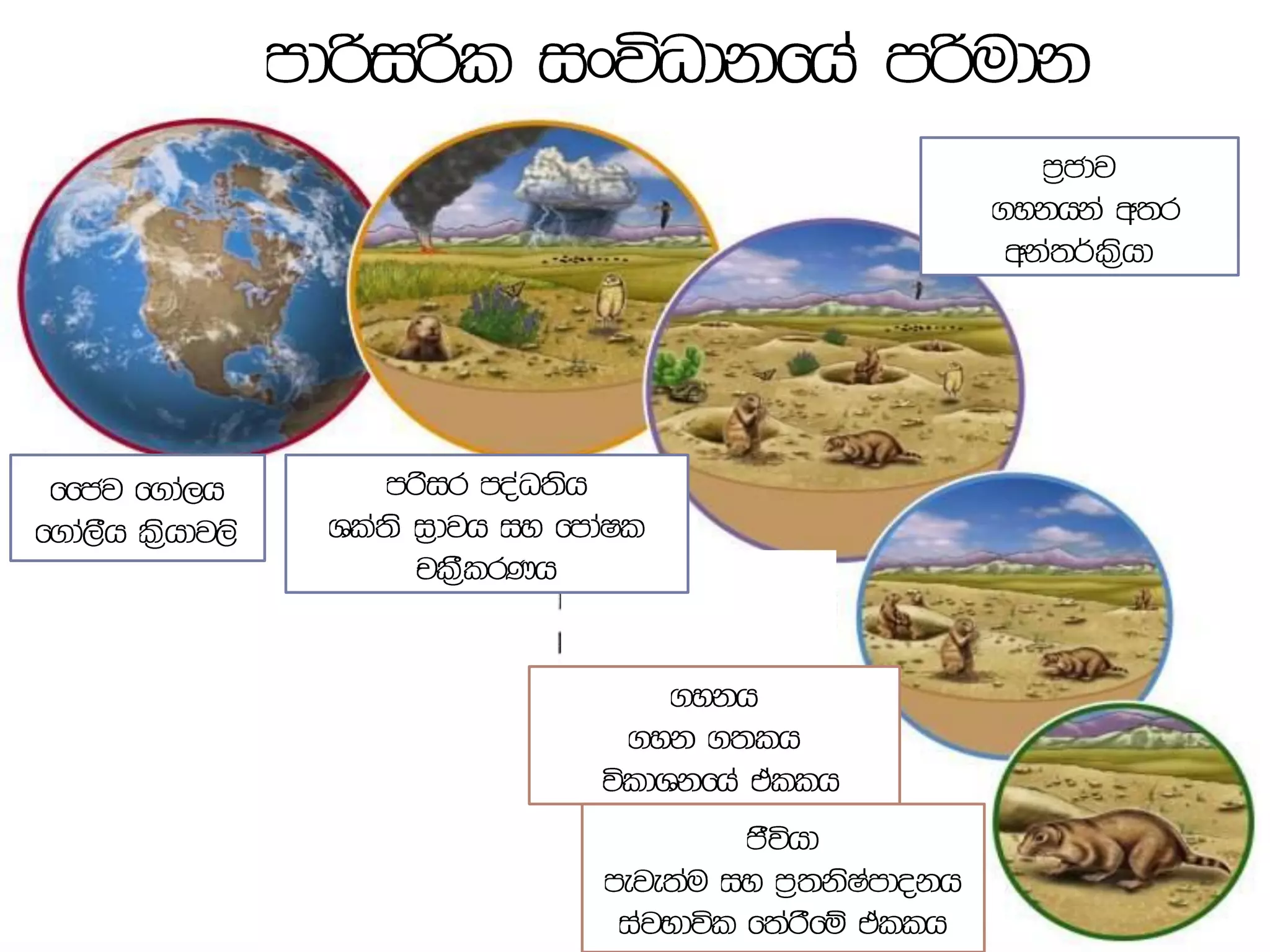 Lesson 1 introduction to environment | PPT