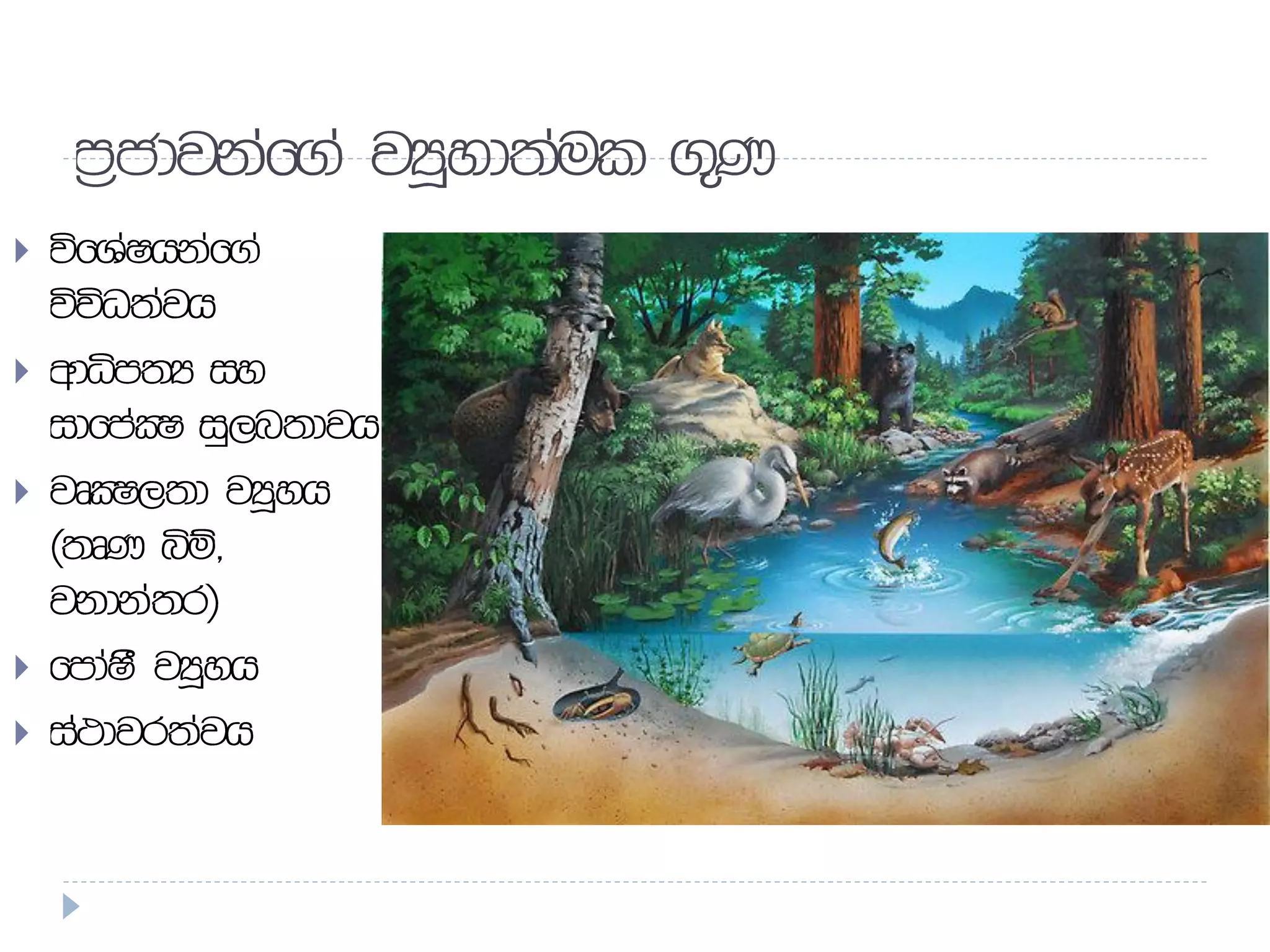 Lesson 1 introduction to environment | PPT